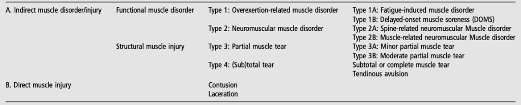 Een hamstringblessure? Nooit eenvoudig! - Sportieq - Gezond Sporten