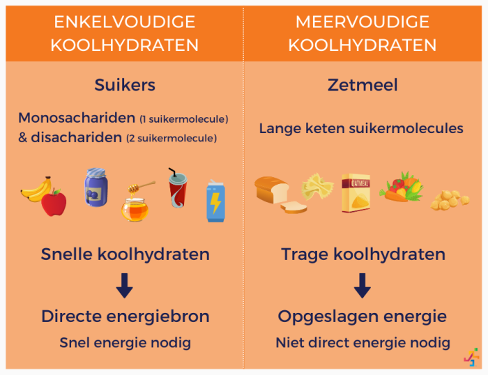 Koolhydraten: dé energiebron als je intensief sport - Sportieq - Gezond ...